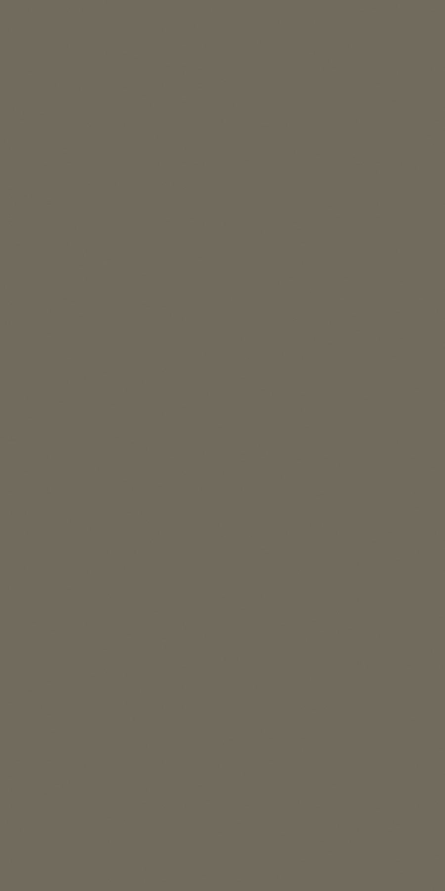 Pine Nut Laminates - Greenlam
