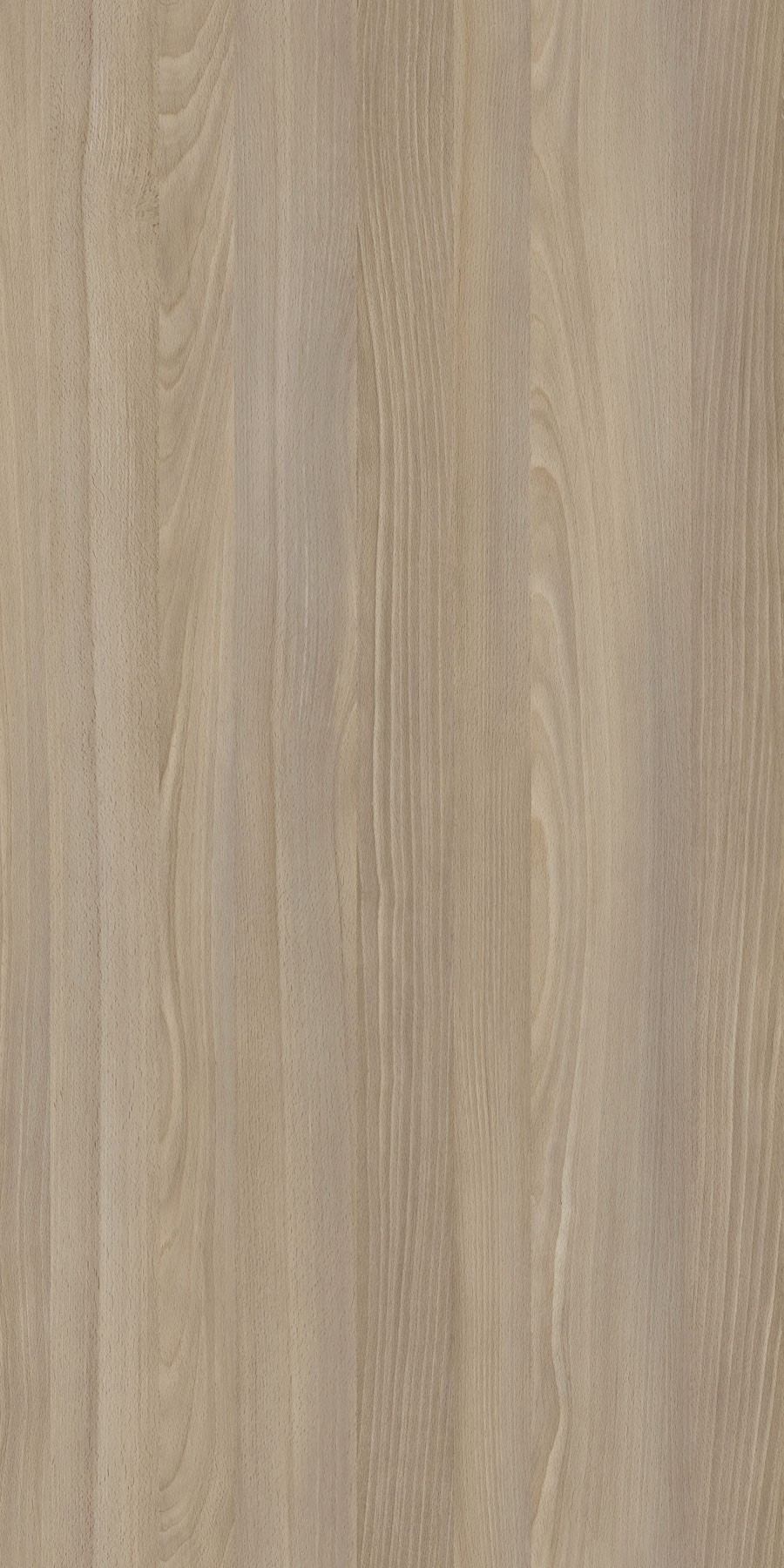 Steamed Beech Laminates - Greenlam