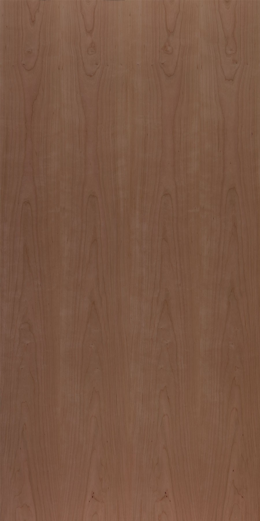 Veneer Laminates - Collection